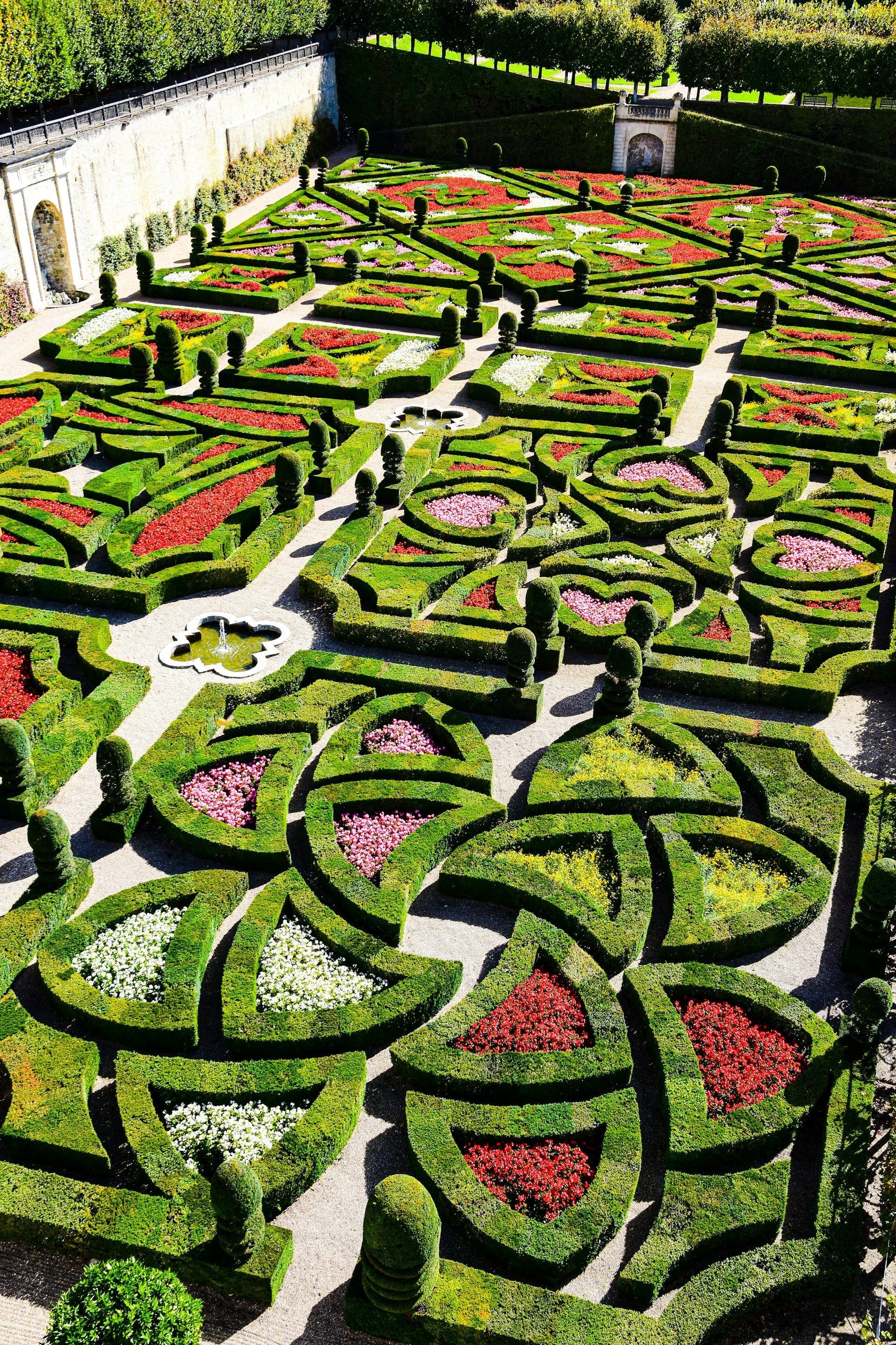 Pleached Trees History | The Origins of Pleaching Explained ...