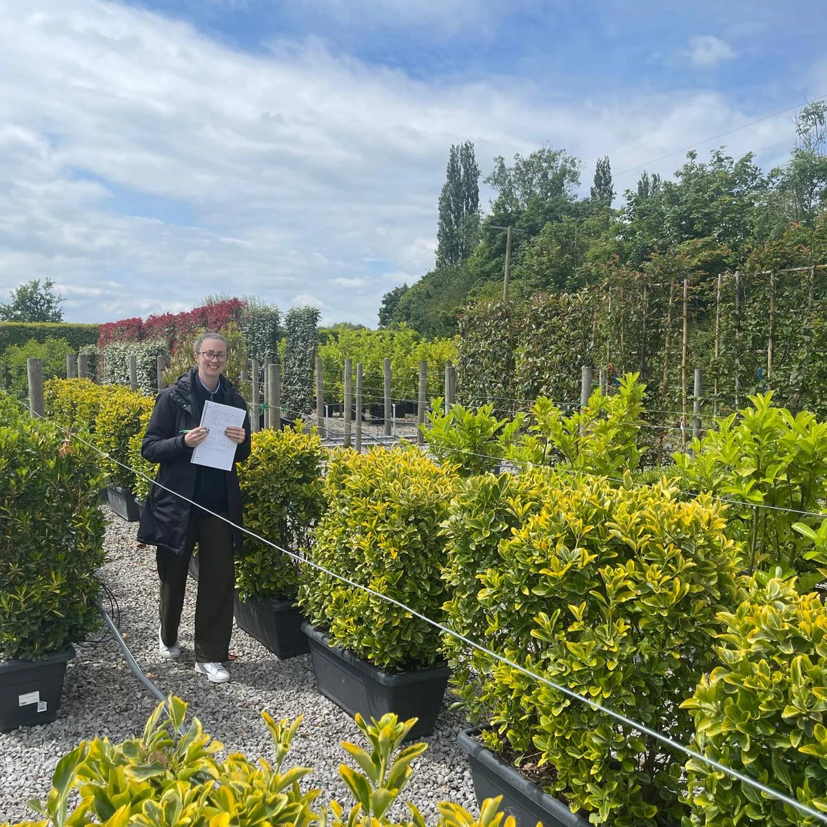 Instant Planted Partitioning — Grasslands Nursery
