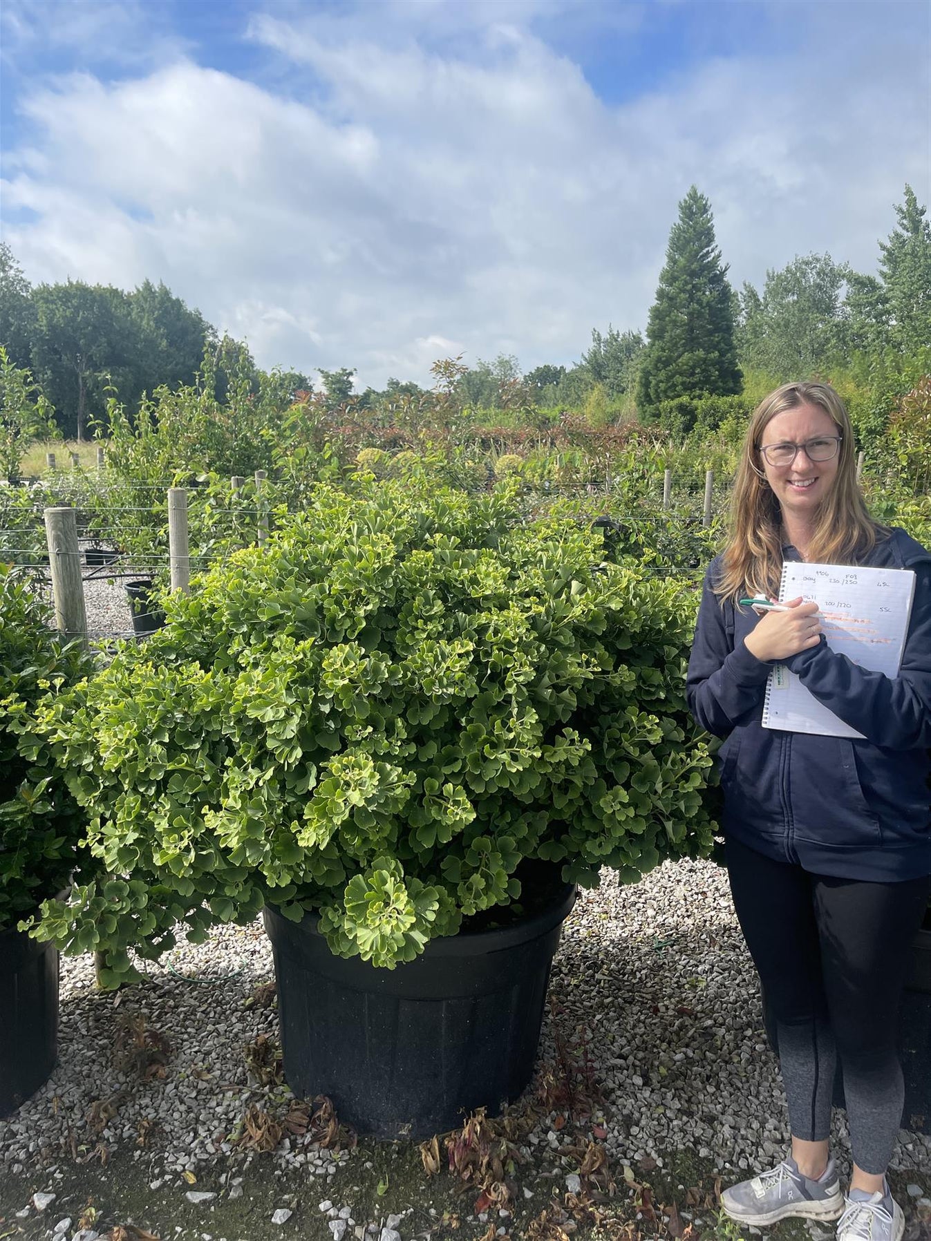 Topiary Dome — Grasslands Nursery